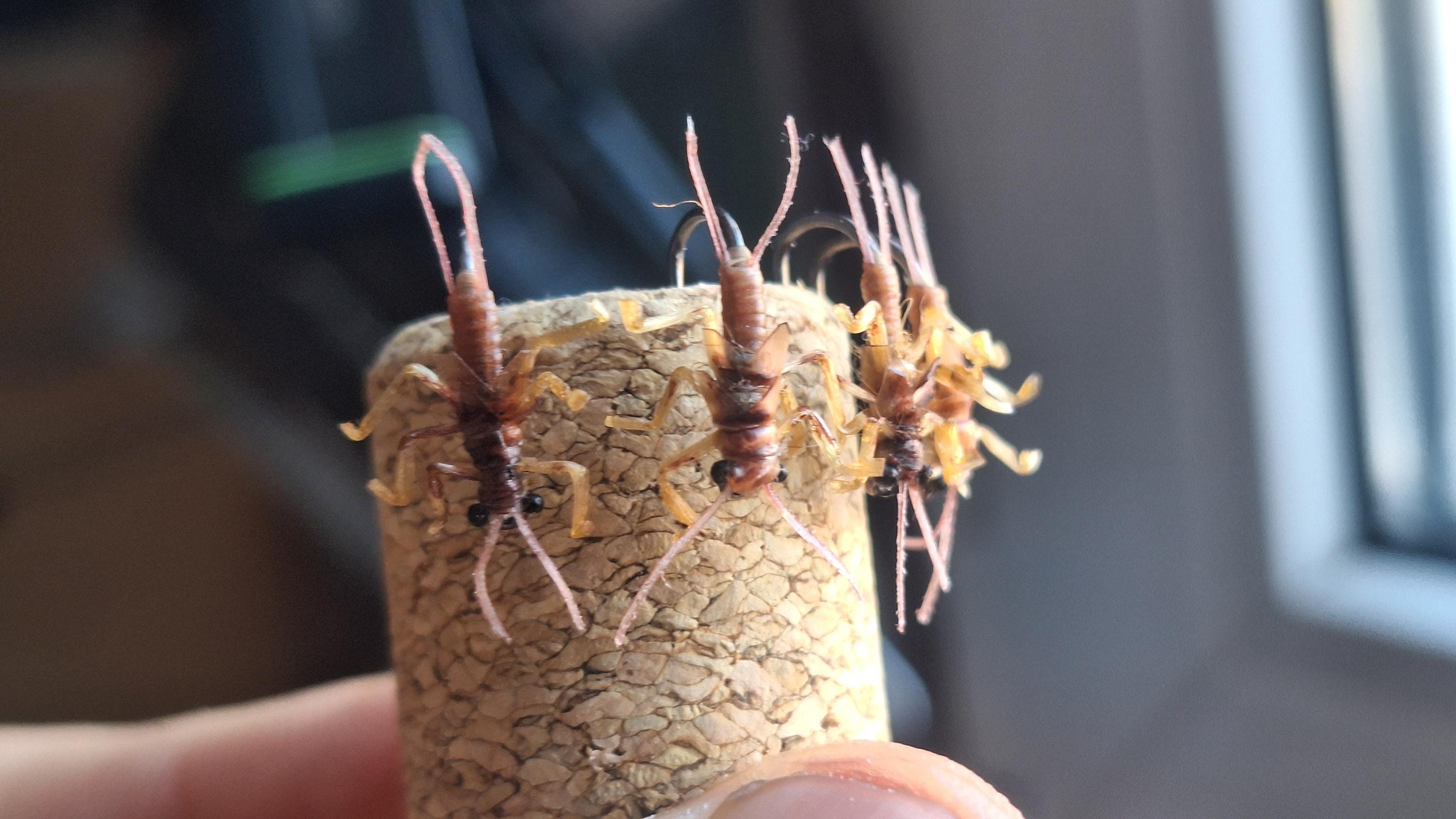 Fly Fishing - Realistic Stonefly - Trout, Grayling, Barbel - Etsy