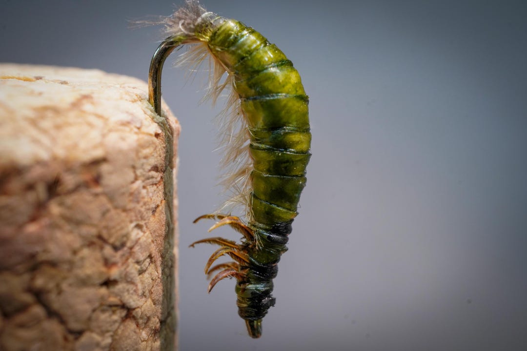 Fly Fishing Hydropsyche Caddisfly - Realistic - Trout, Grayling, Barbel ...