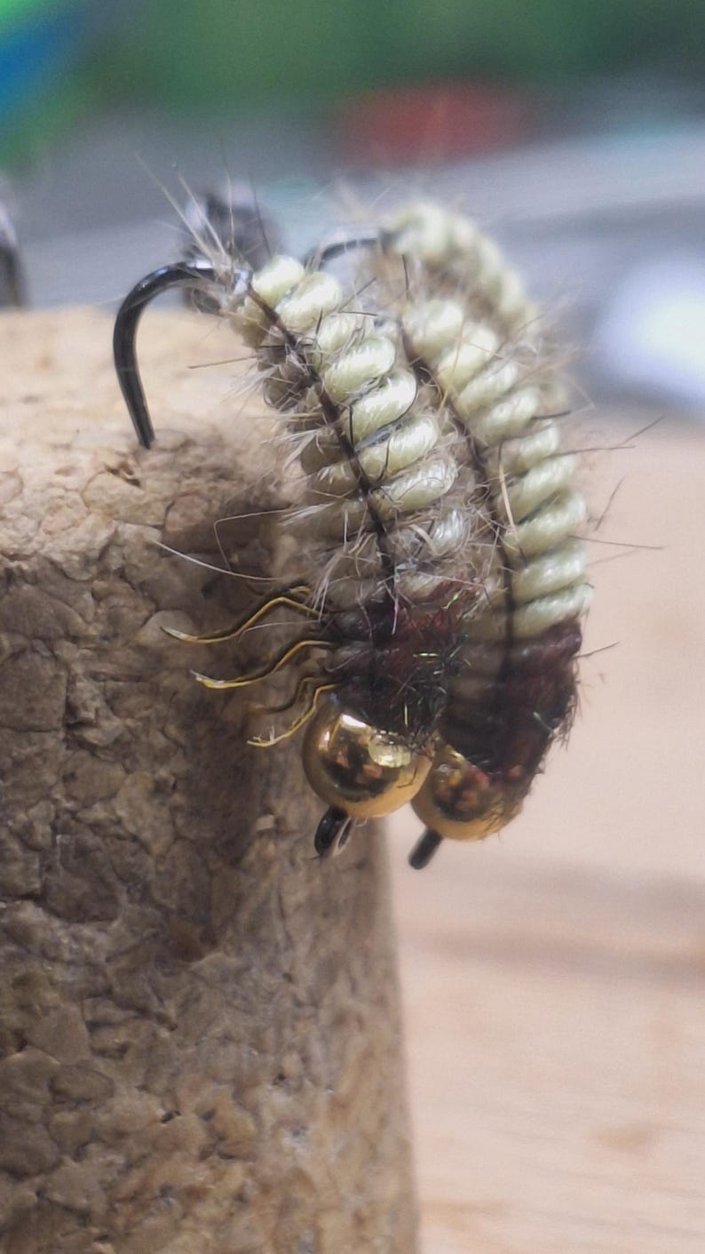 Fly Fishing - Caddisfly Larva Realistic - Trout, Grayling, Barbel - Etsy