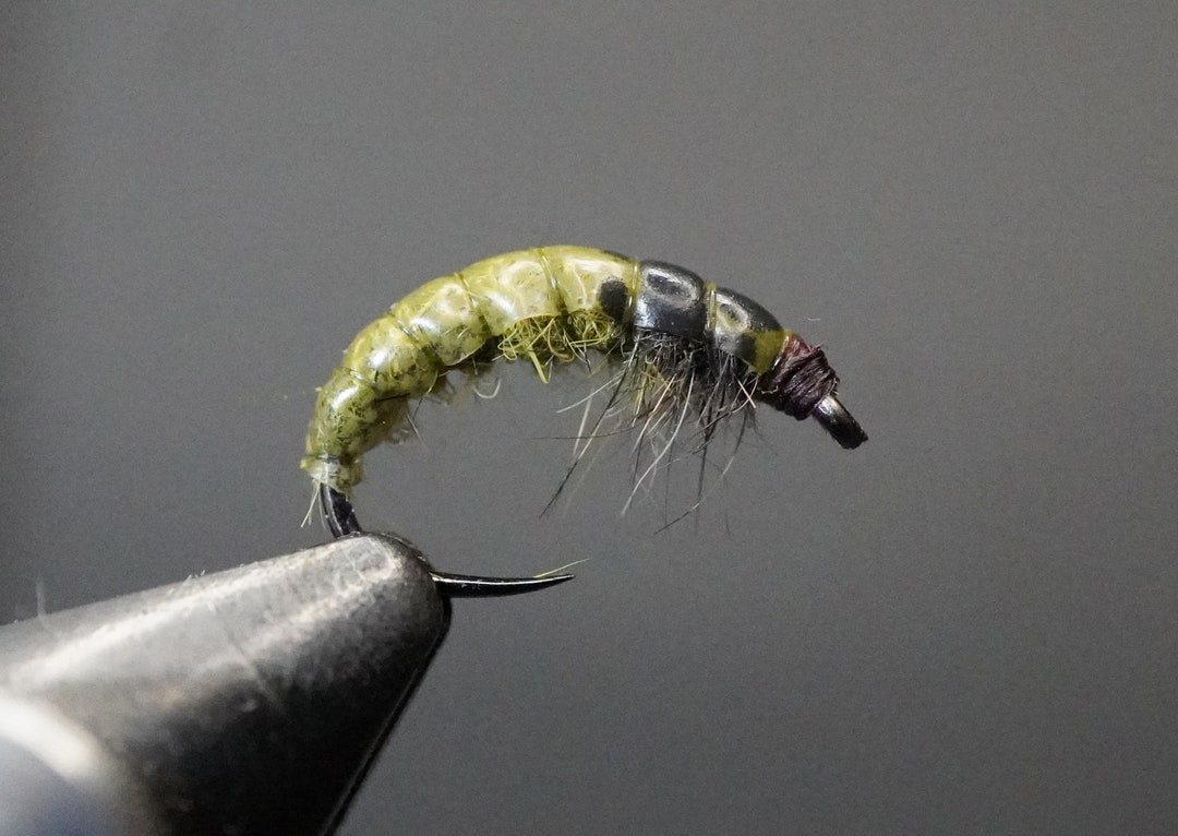 Fly Fishing Hydropsyche Caddisfly Larva - Realistic Fly for Trout ...