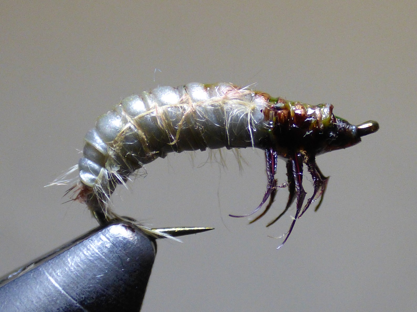 Fly Fishing - Caddisfly Larva - Realistic - Trout, Grayling, Barbel - Etsy