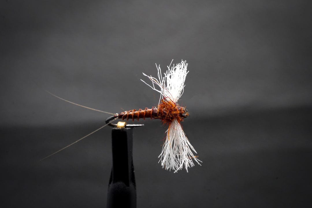 Fly Fishing -rusty Spinner - Realistic - Trout, Grayling, Barbel - Etsy