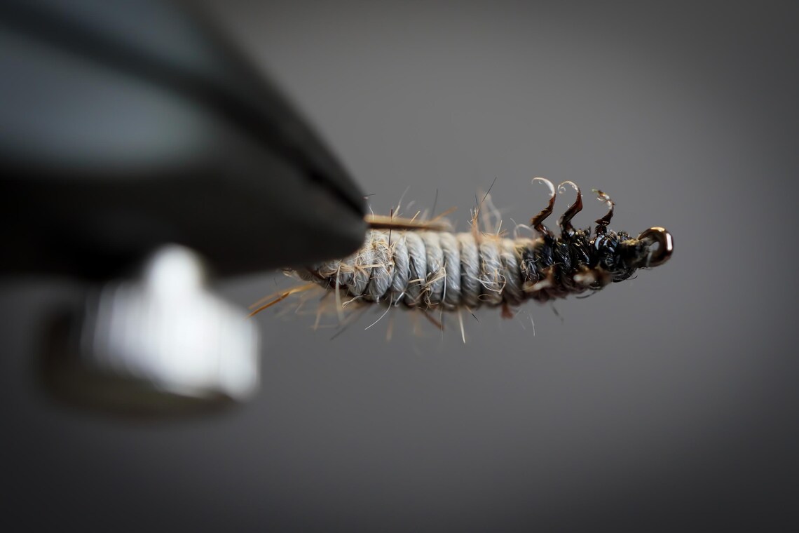 Fly Fishing - Caddisfly Larva - Realistic - Trout, Grayling, Barbel - Etsy
