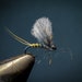 Fly Fishing - Caddisfly Larva - Realistic - Trout, Grayling, Barbel - Etsy