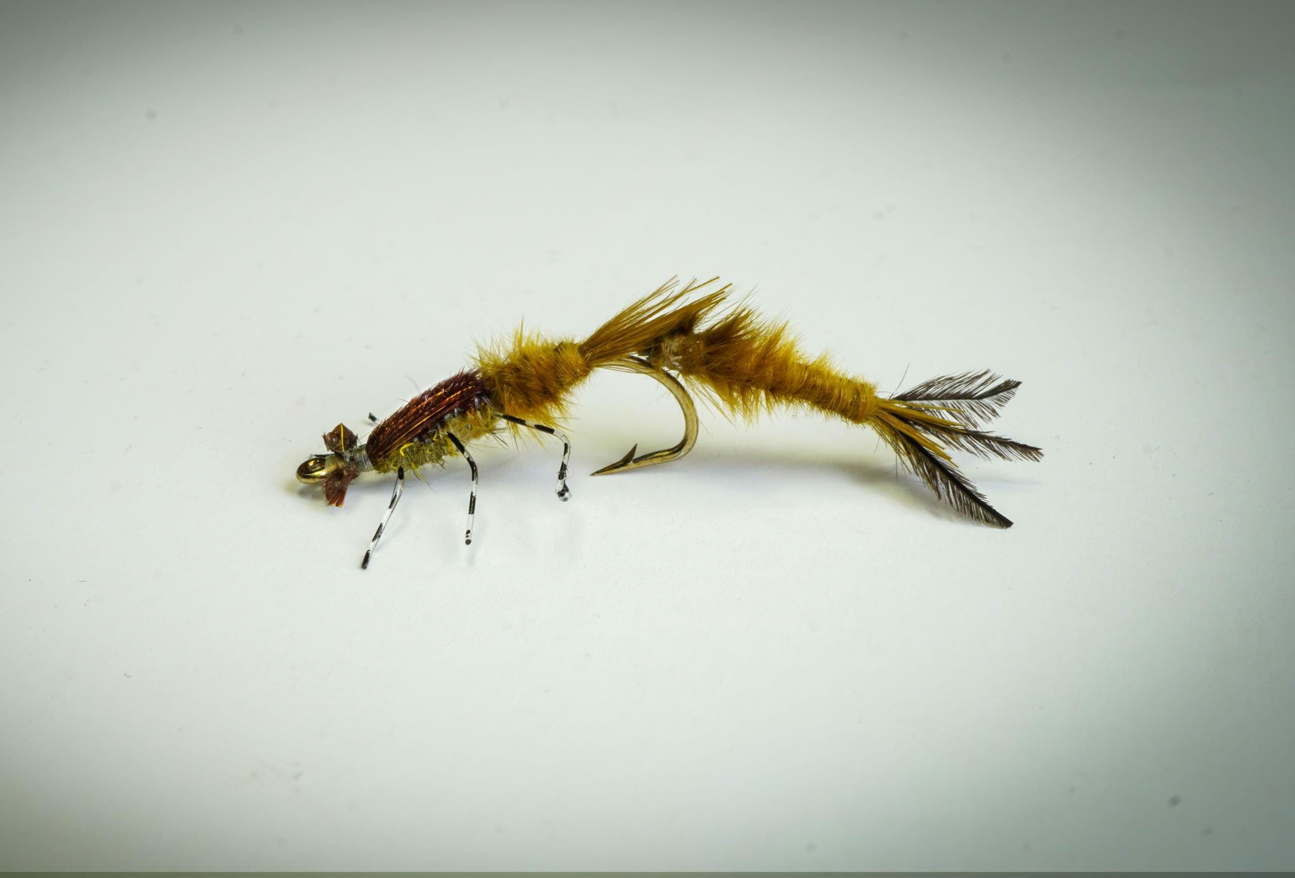 Fly Fishing - Damsel Fly Nymph - Realistic - Flies Fot Trout, Grayling ...