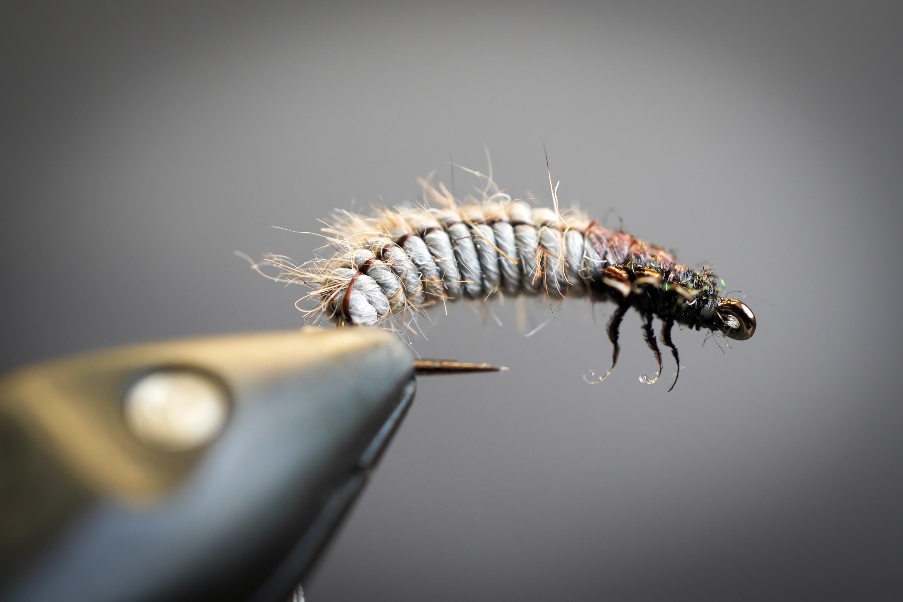 Fly Fishing - Caddisfly Larva - Realistic - Trout, Grayling, Barbel - Etsy