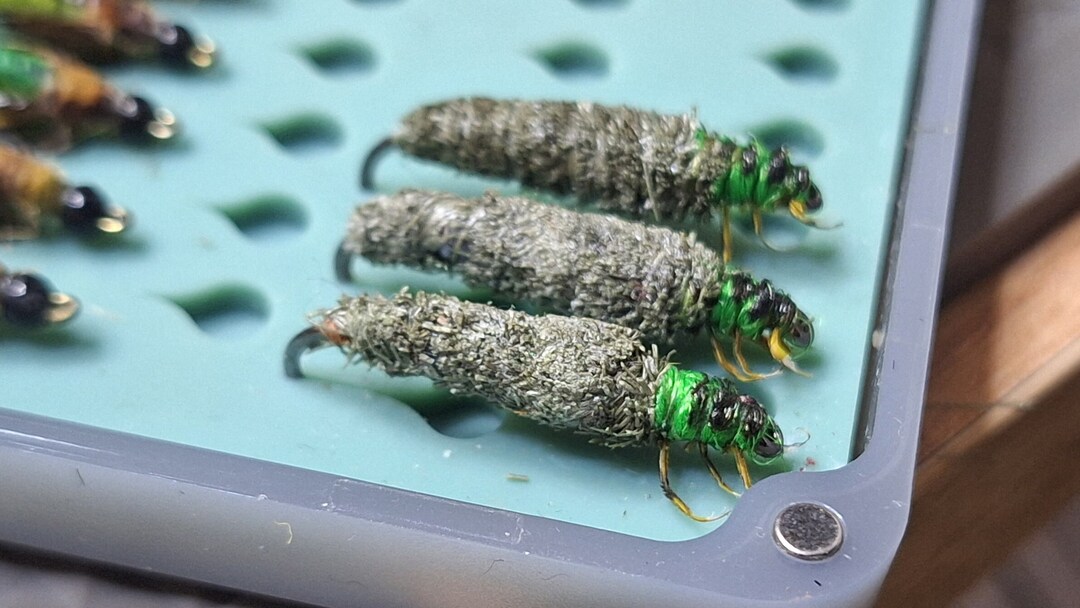 Fly Fishing -cased Caddisfly - Realistic - Trout, Grayling, Barbel - Etsy