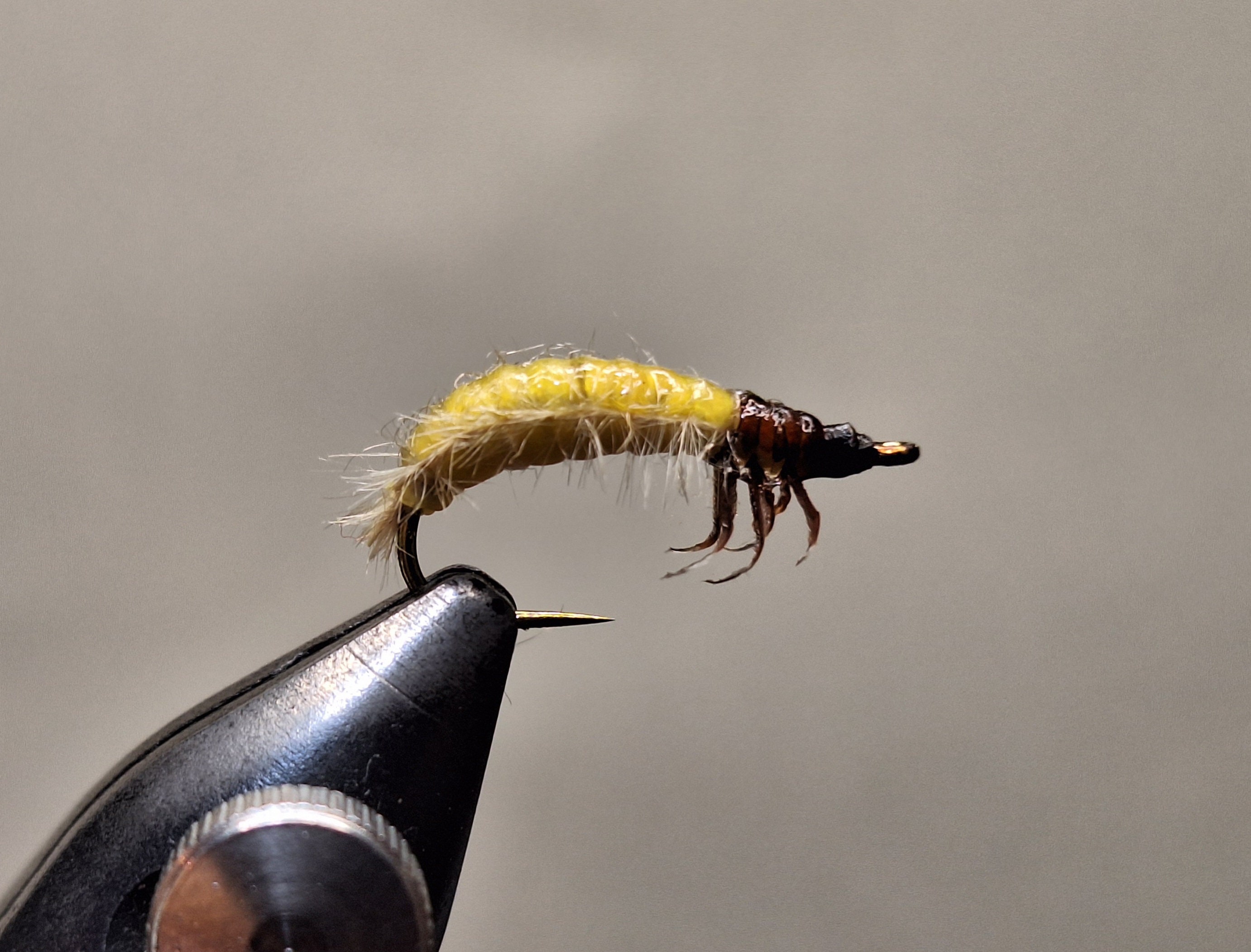 Fly Fishing yellow Caddisfly Larva Realistic Trout, Grayling, Barbel - Etsy