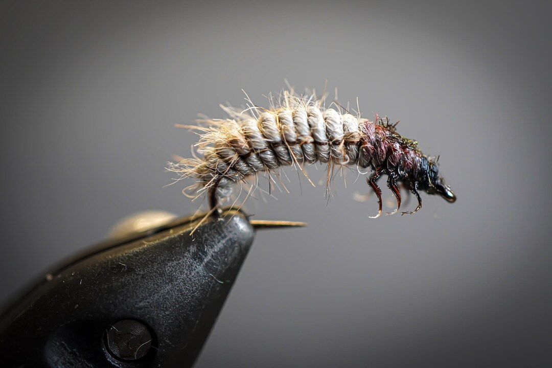 Fly Fishing - Caddisfly Larva - Realistic - Trout, Grayling, Barbel - Etsy