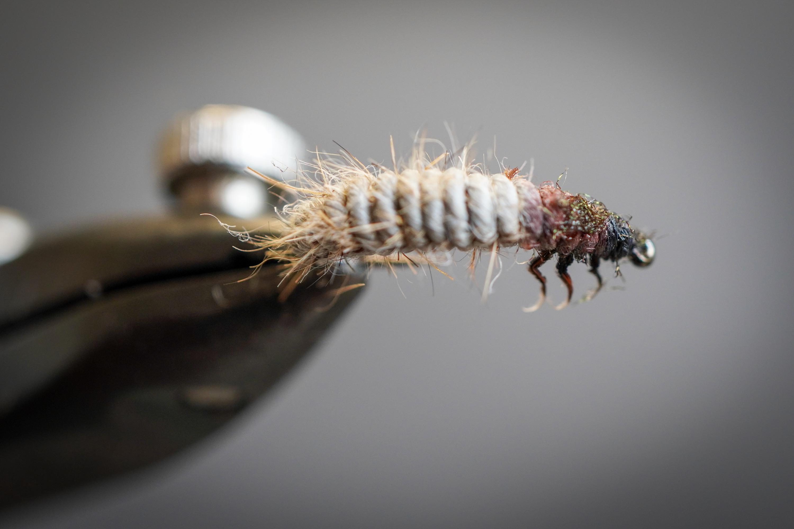 Fly Fishing - Caddisfly Larva - Realistic - Trout, Grayling, Barbel - Etsy
