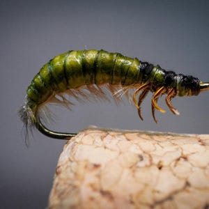 Fly Fishing - Caddisfly Larva - Realistic - Trout, Grayling, Barbel - Etsy