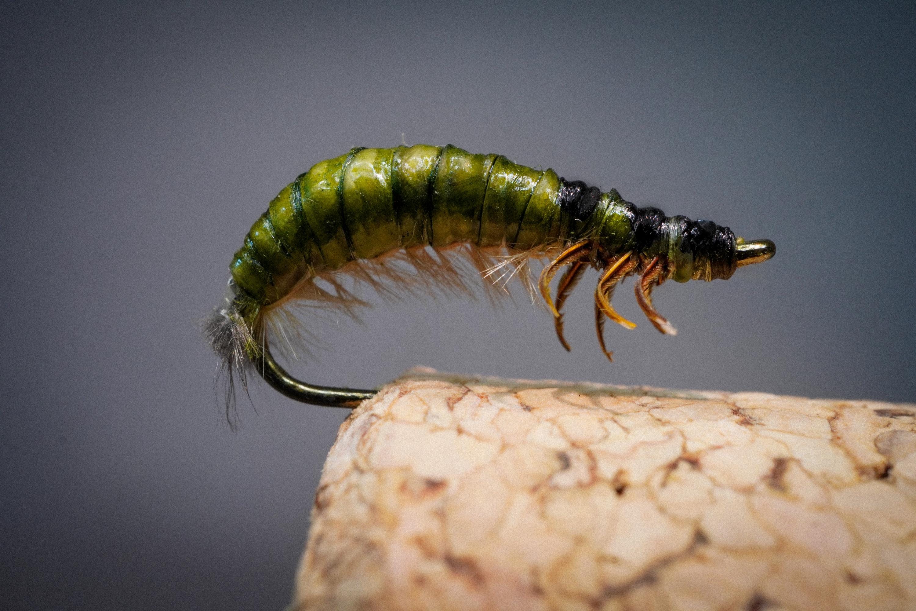 Fly Fishing - Caddisfly Larva - Realistic - Trout, Grayling, Barbel - Etsy