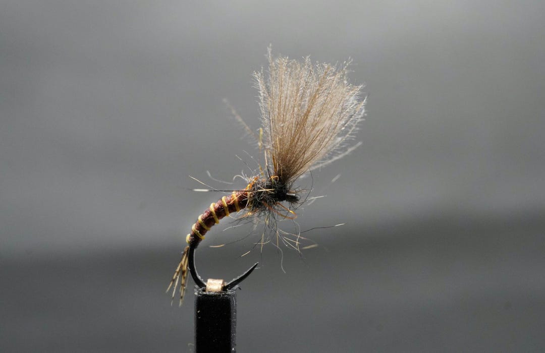 Fly Fishing -may Fly Emerger- Trout, Grayling, Barbel - Etsy