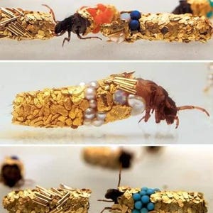 Fly Fishing - Cased Caddisfly Larva With Precious Stones - Realystyc ...