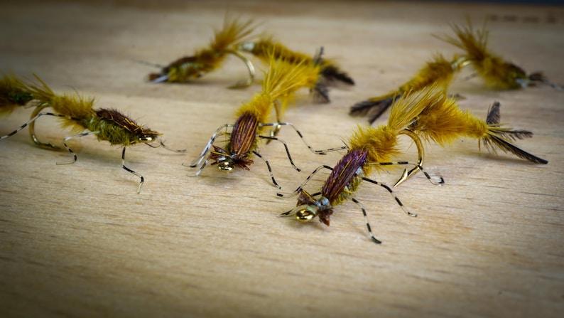 Fly Fishing - Damsel Fly Nymph - Realistic - Flies Fot Trout, Grayling ...