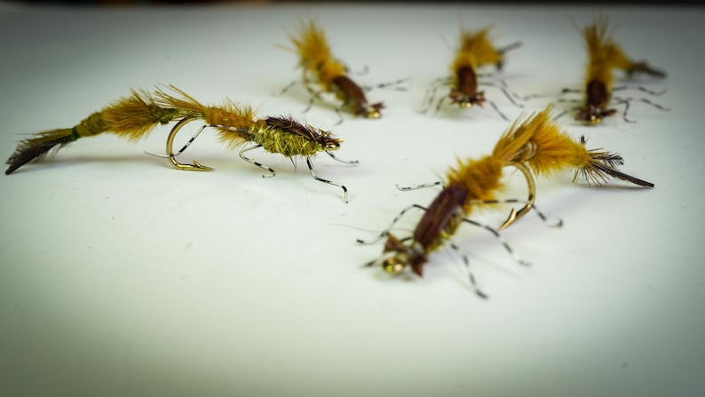 Fly Fishing - Damsel Fly Nymph - Realistic - Flies Fot Trout, Grayling ...