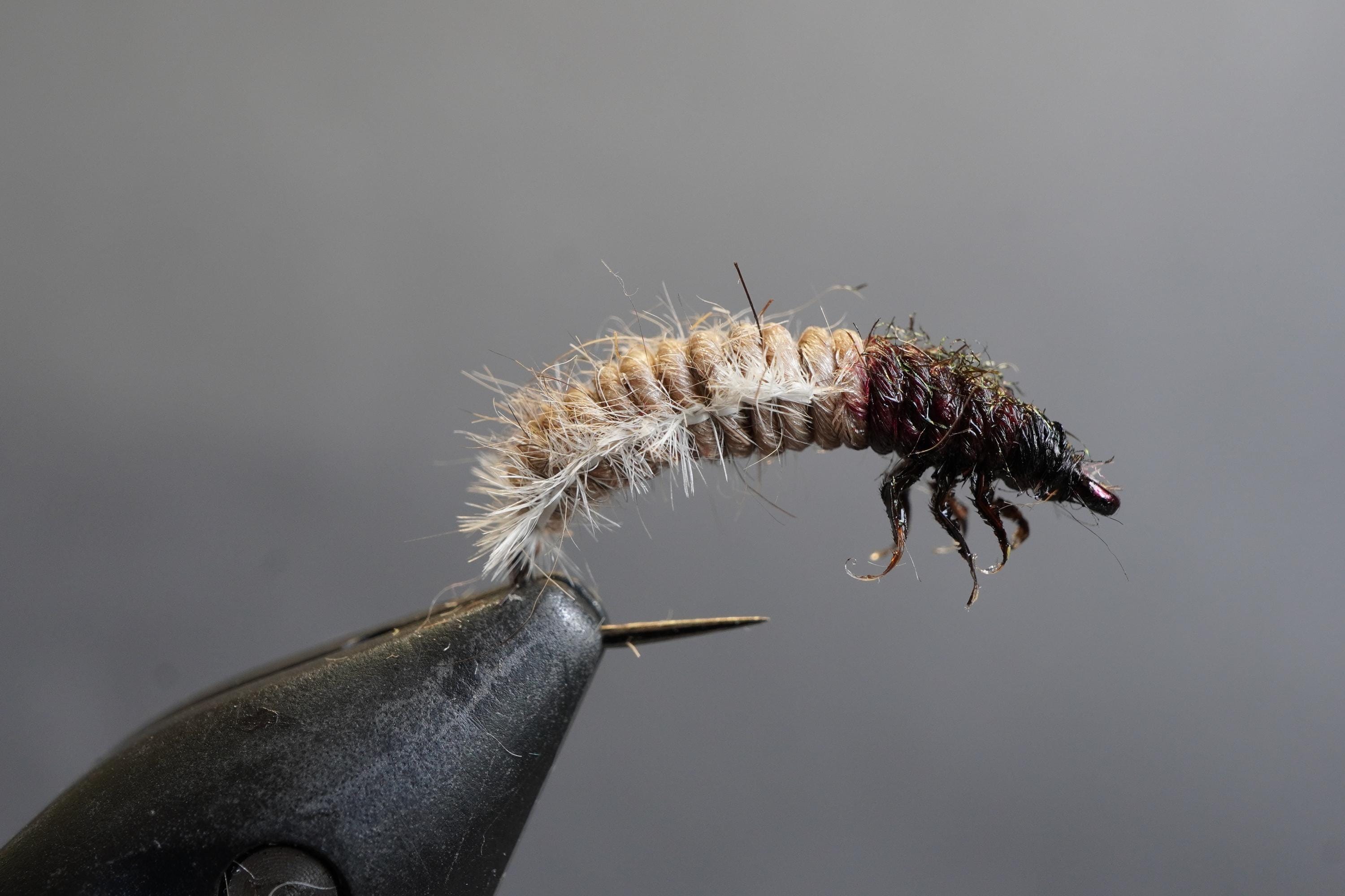 Fly Fishing - Caddisfly Larva - Limnephilidae- Realistic - Trout ...