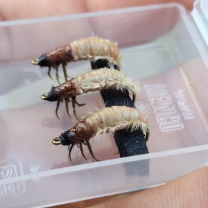 Fly Fishing - Caddisfly Larva - Realistic - Trout, Grayling, Barbel - Etsy
