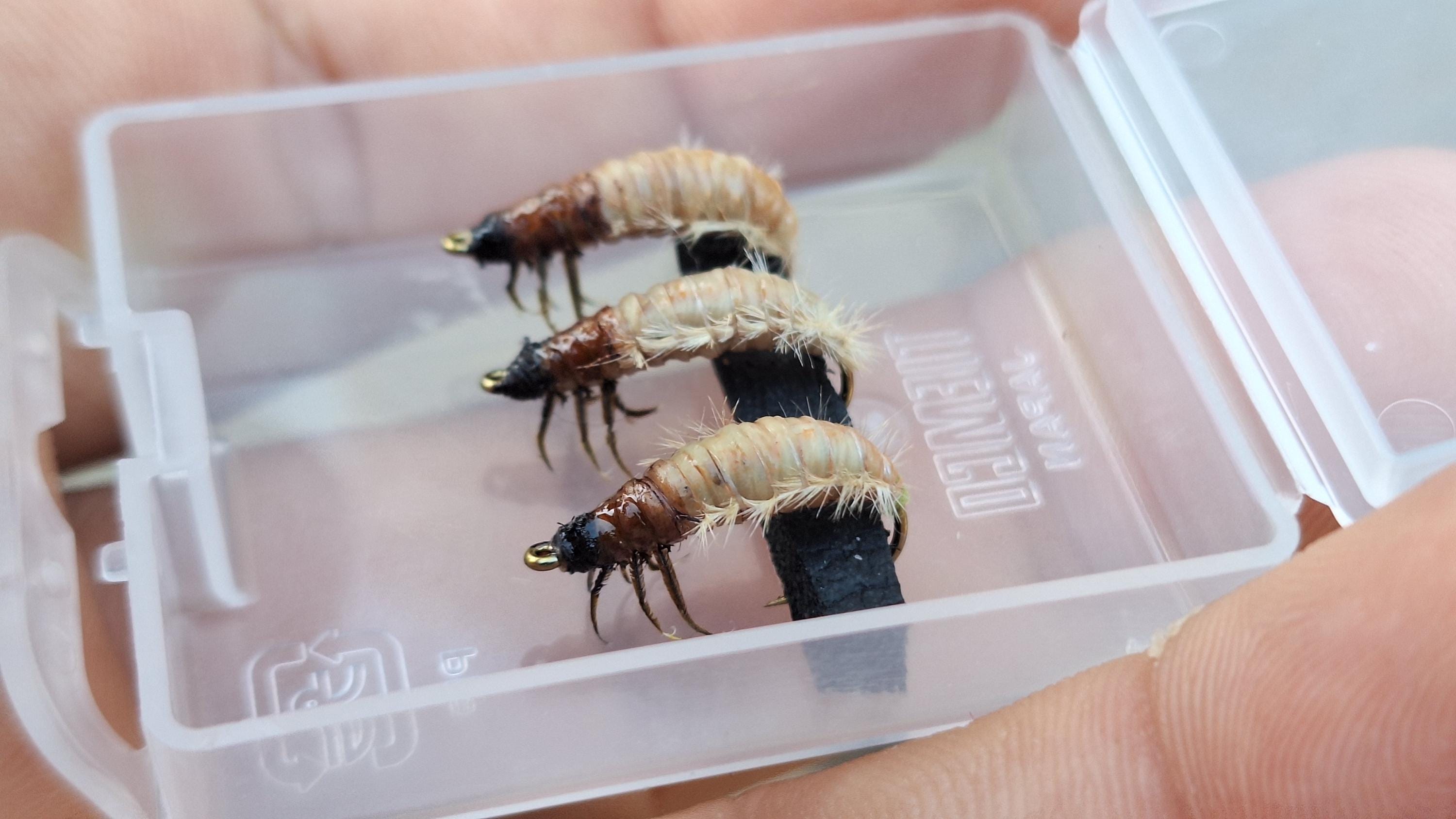 Fly Fishing - Caddisfly Larva - Realistic - Trout, Grayling, Barbel - Etsy