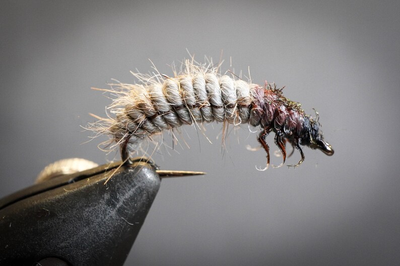 Fly Fishing - Caddisfly Larva - Realistic - Trout, Grayling, Barbel - Etsy