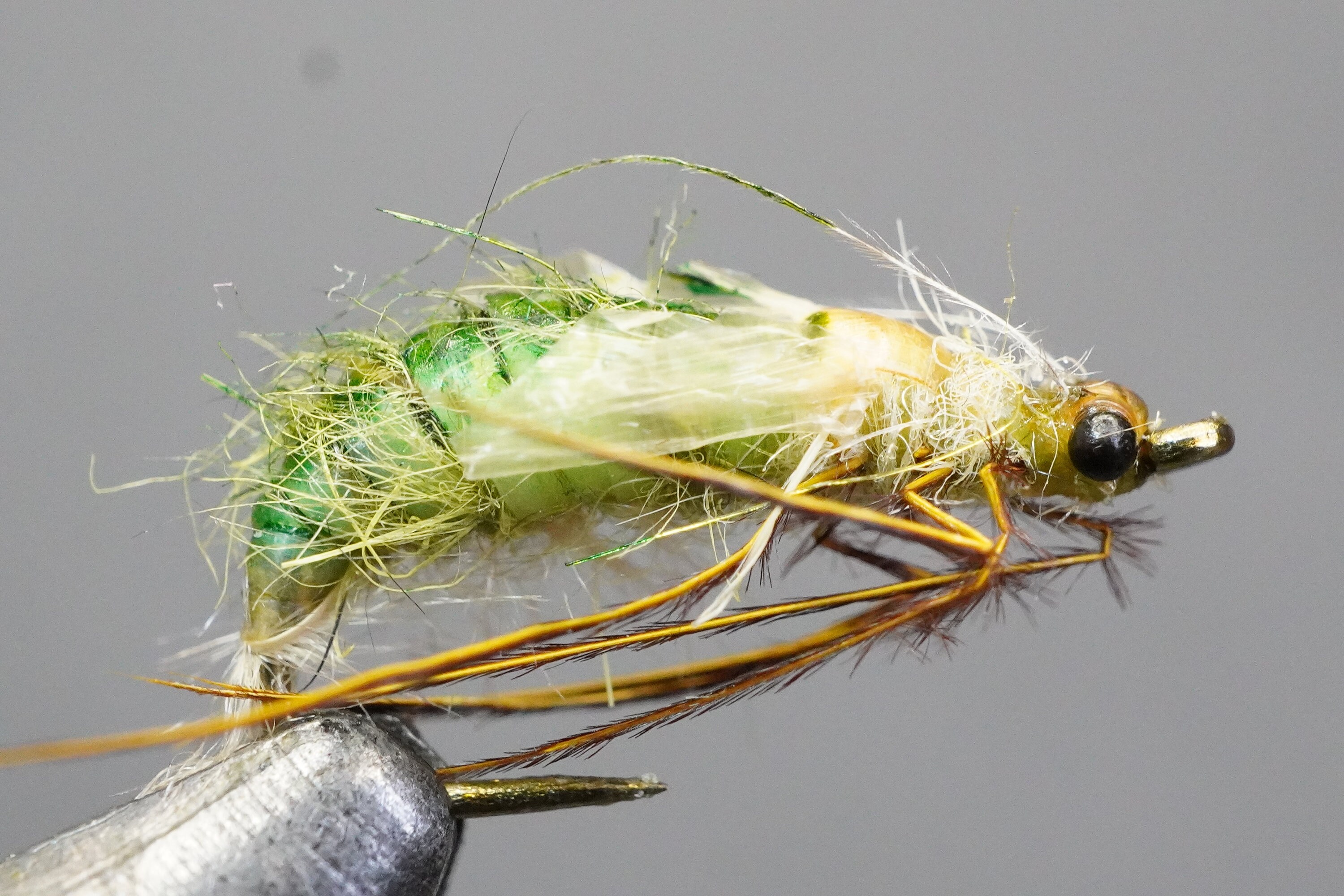 Fly Fishing - Caddisfly Pupa - Hydropsyche- Realistic - Trout, Grayling ...