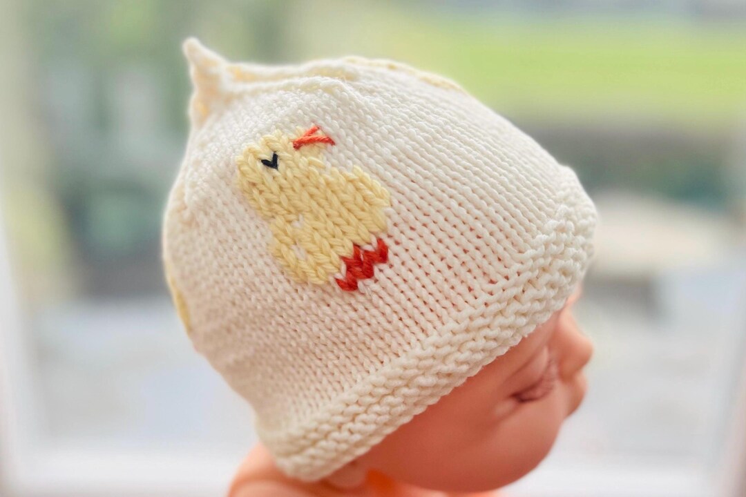 Hand-knitted Merino Wool Baby Chick Hat: Embroidered With 4 Spring ...
