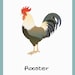 Printable Learn Farm Animals - Etsy