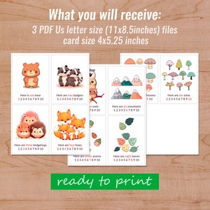 Numbers Flash Cards Printable, Preschool Counting Flash Cards, Animals ...