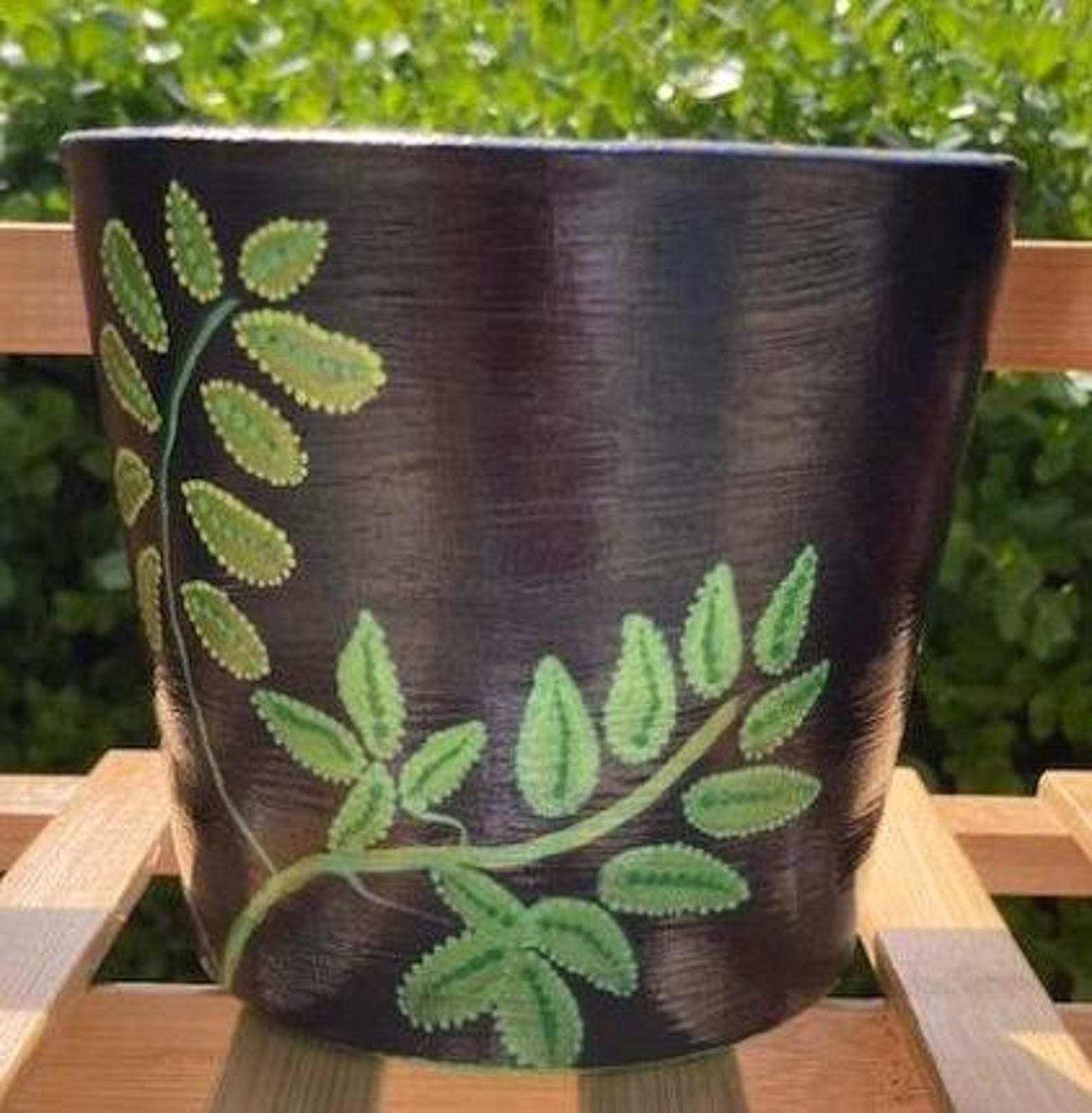 Butterfly Cabo Planter Pot - Etsy