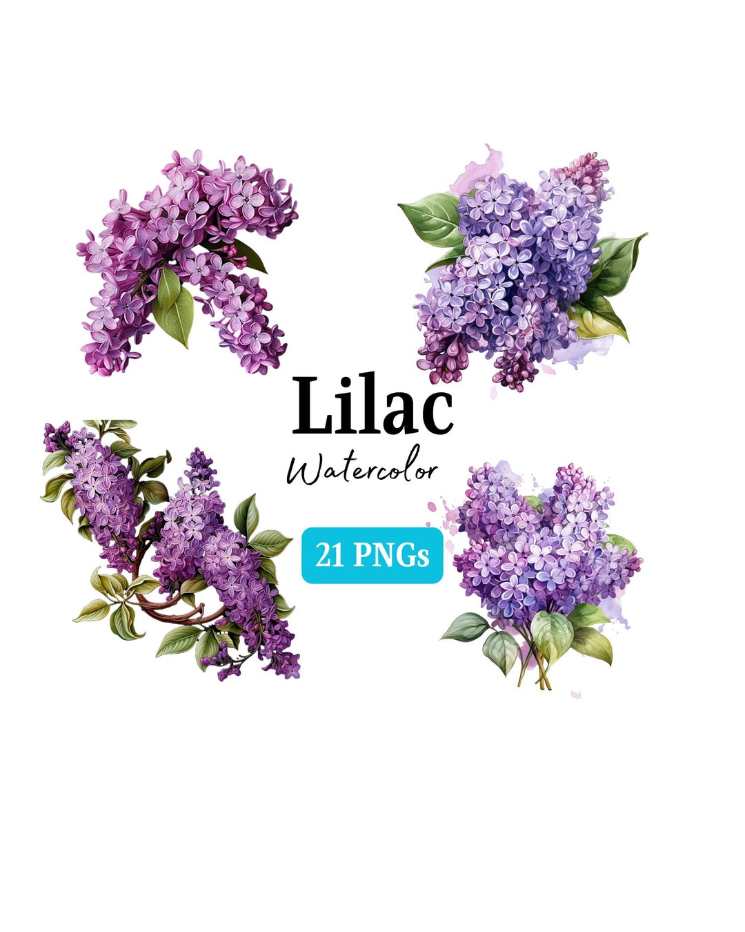 Watercolor Lilac , Clipart, Pngs, Stickers, Lilac Bundle, Flowers ...