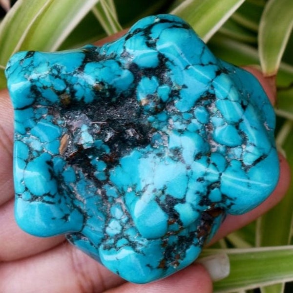 Rough Turquoise - Etsy