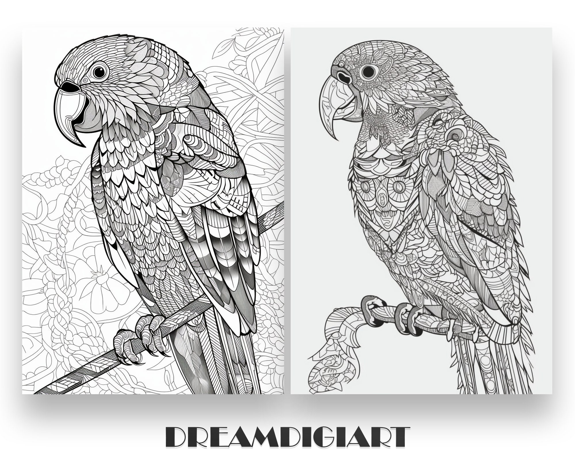 Parrots Mandala Creature Coloring Page All Age Coloring Page - Etsy UK