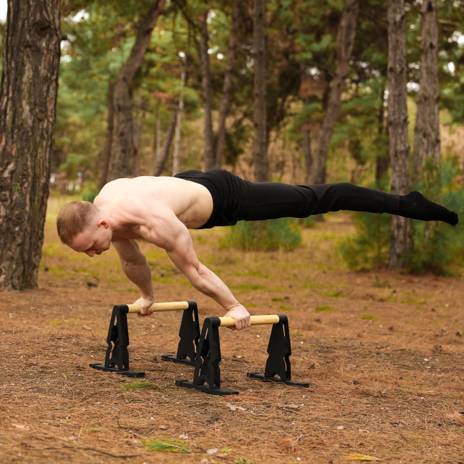 Big Bear Parallettes - Parallel - Push up Bar - Calisthenics ...