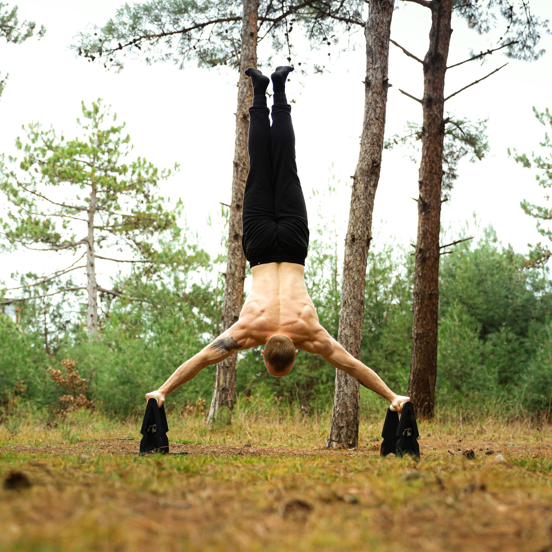 Big Bear Parallettes - Parallel - Push up Bar - Calisthenics ...