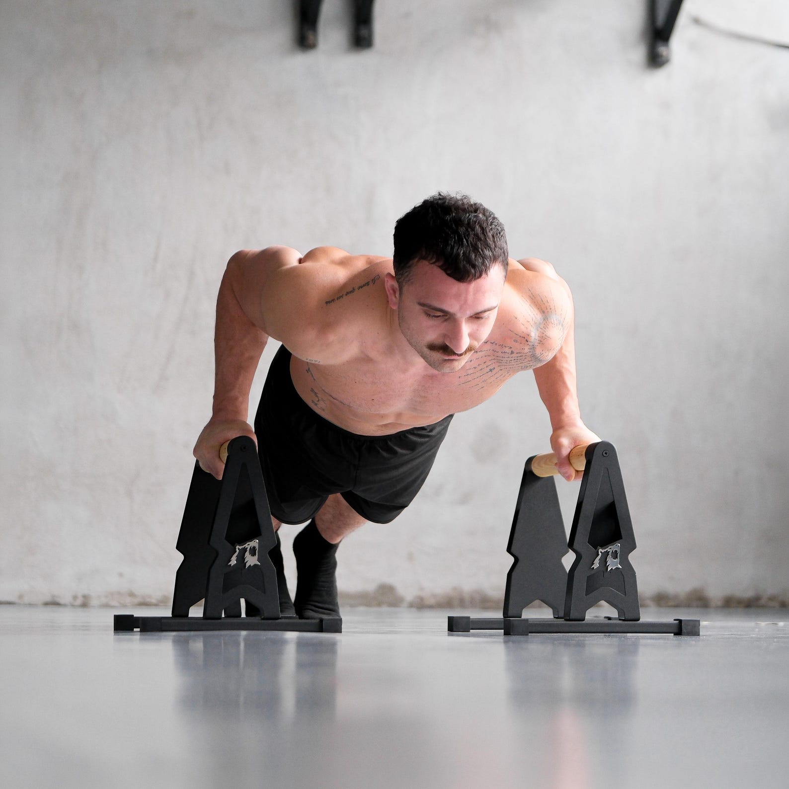 Big Bear Parallettes - Parallel - Push up Bar - Calisthenics ...