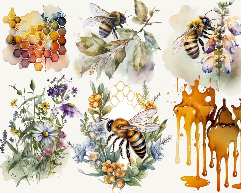 Honey Bee Watercolor Clipart Bundle, 12 Pngs, Transparent Background ...