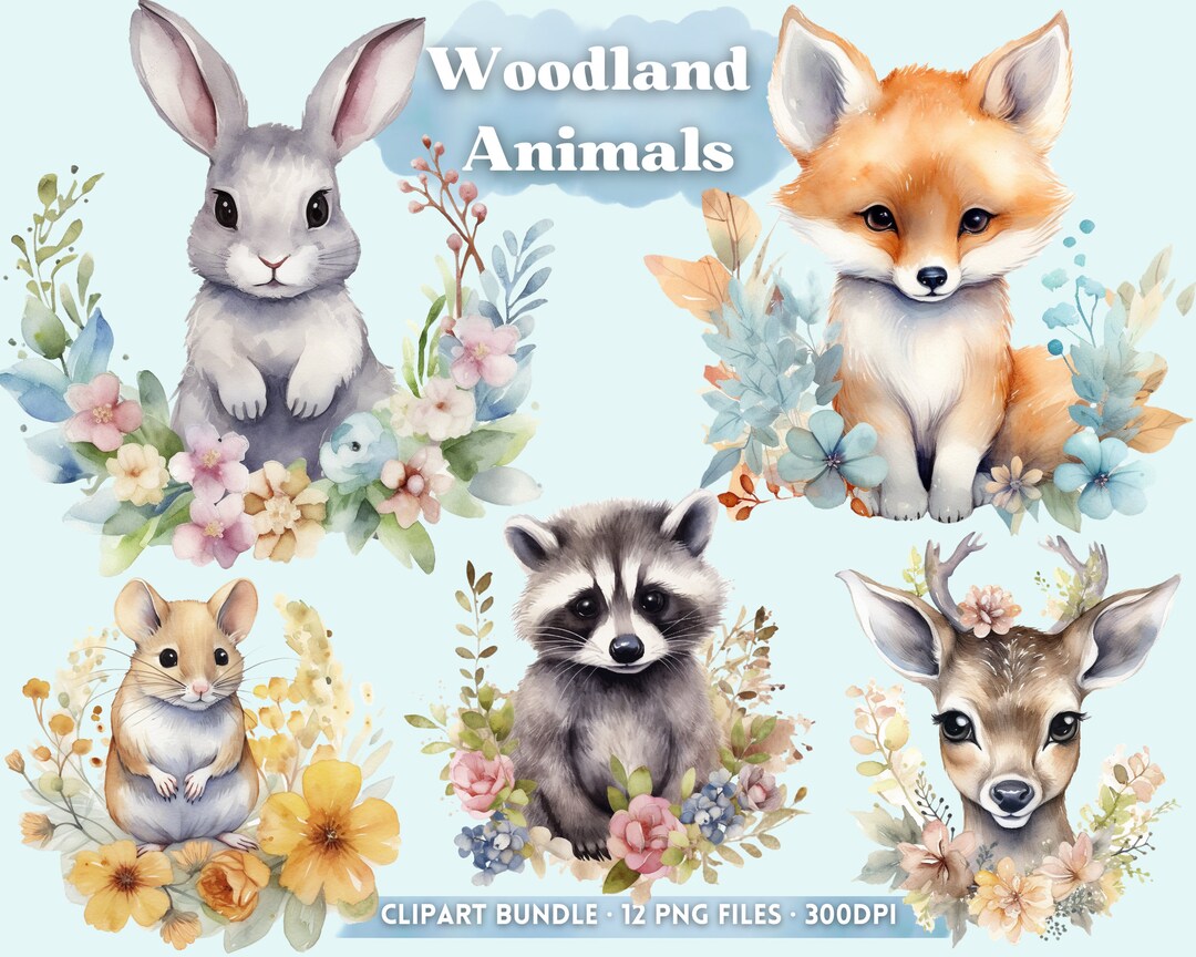 Woodland Animals Watercolor Clipart Bundle, 12 Pngs, Transparent ...