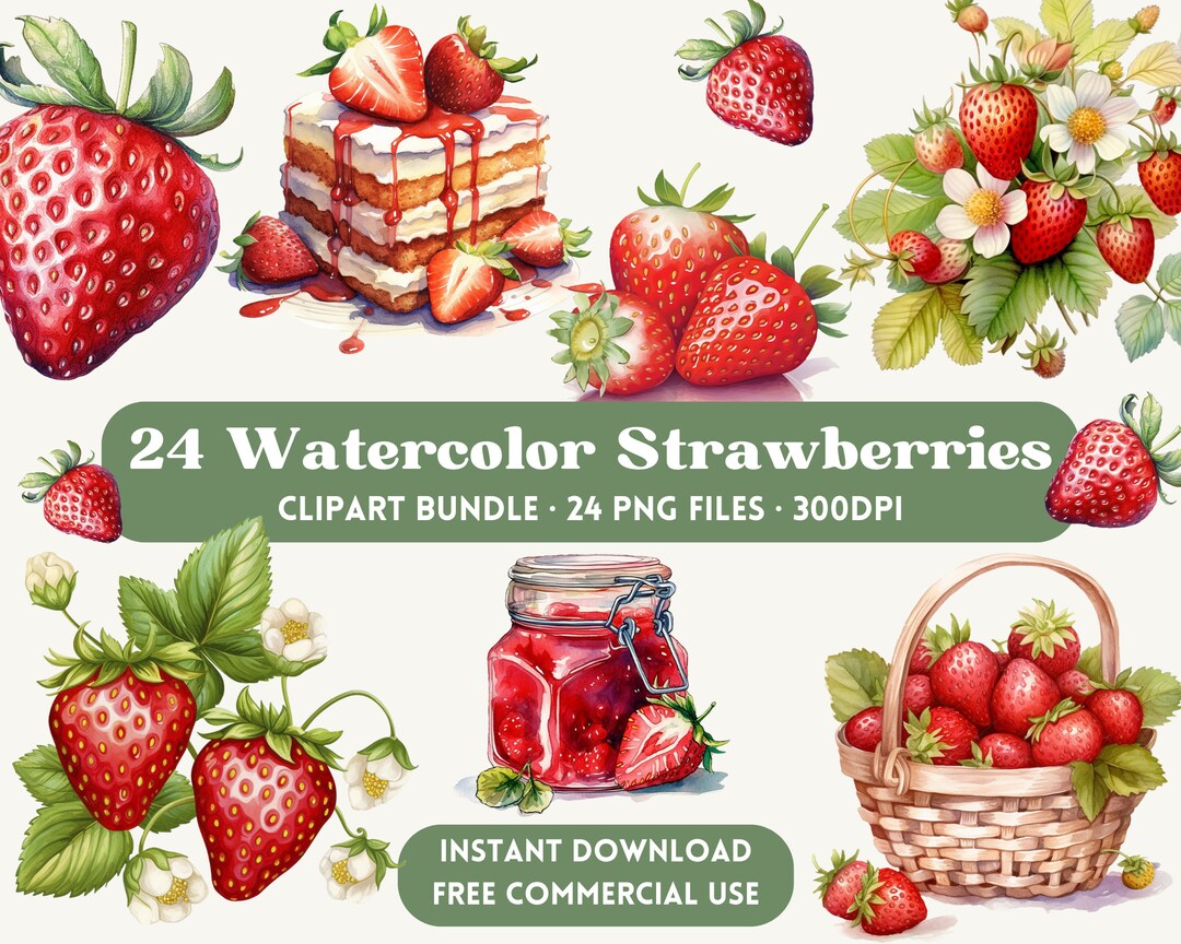 Watercolor Strawberries Clipart Bundle 24 Pngs Transparent - Etsy