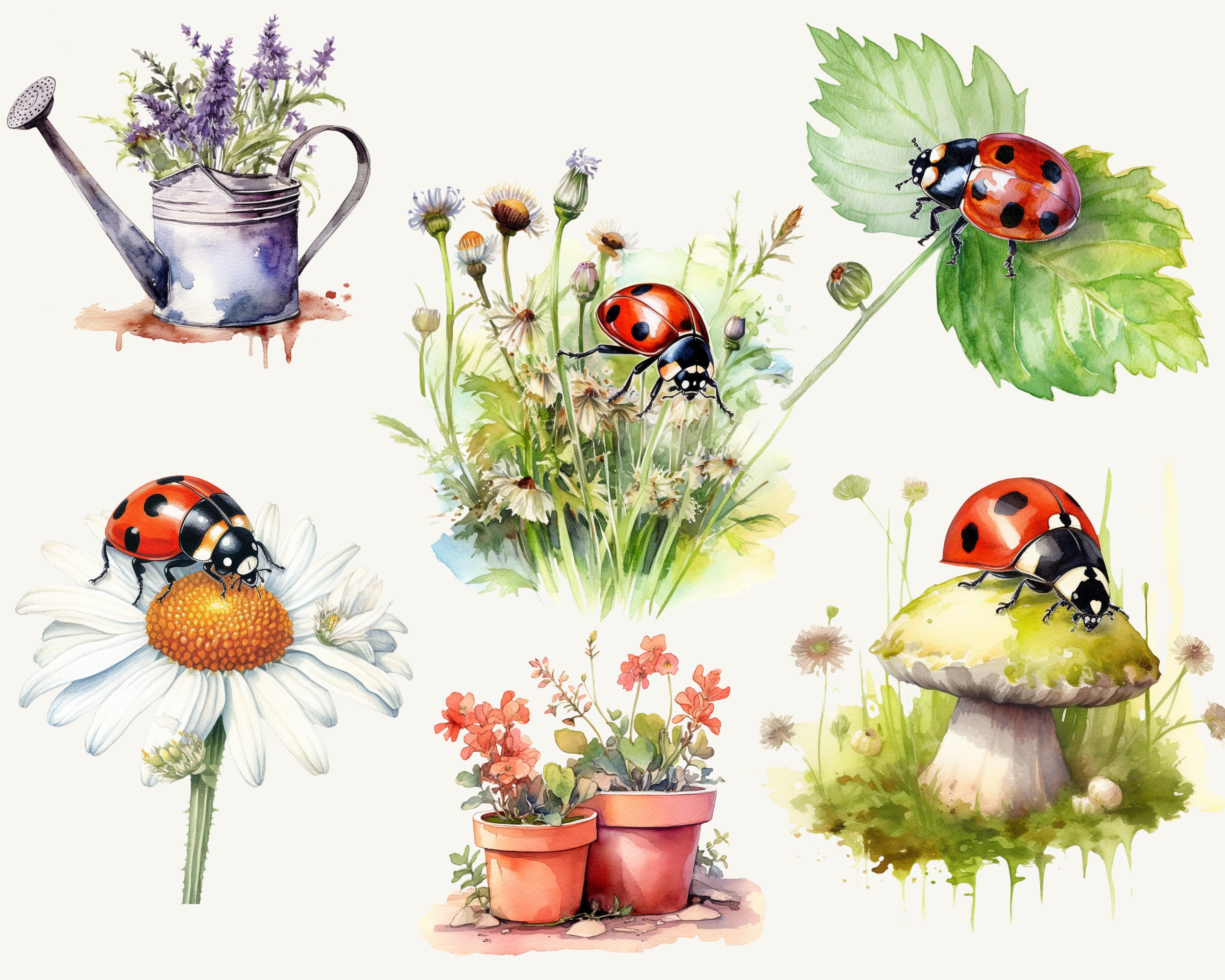 Ladybug Garden Watercolor Clipart Bundle, 30 Pngs, Lady Bug and Flowers ...