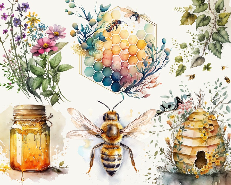 Honey Bee Watercolor Clipart Bundle, 12 Pngs, Transparent Background ...