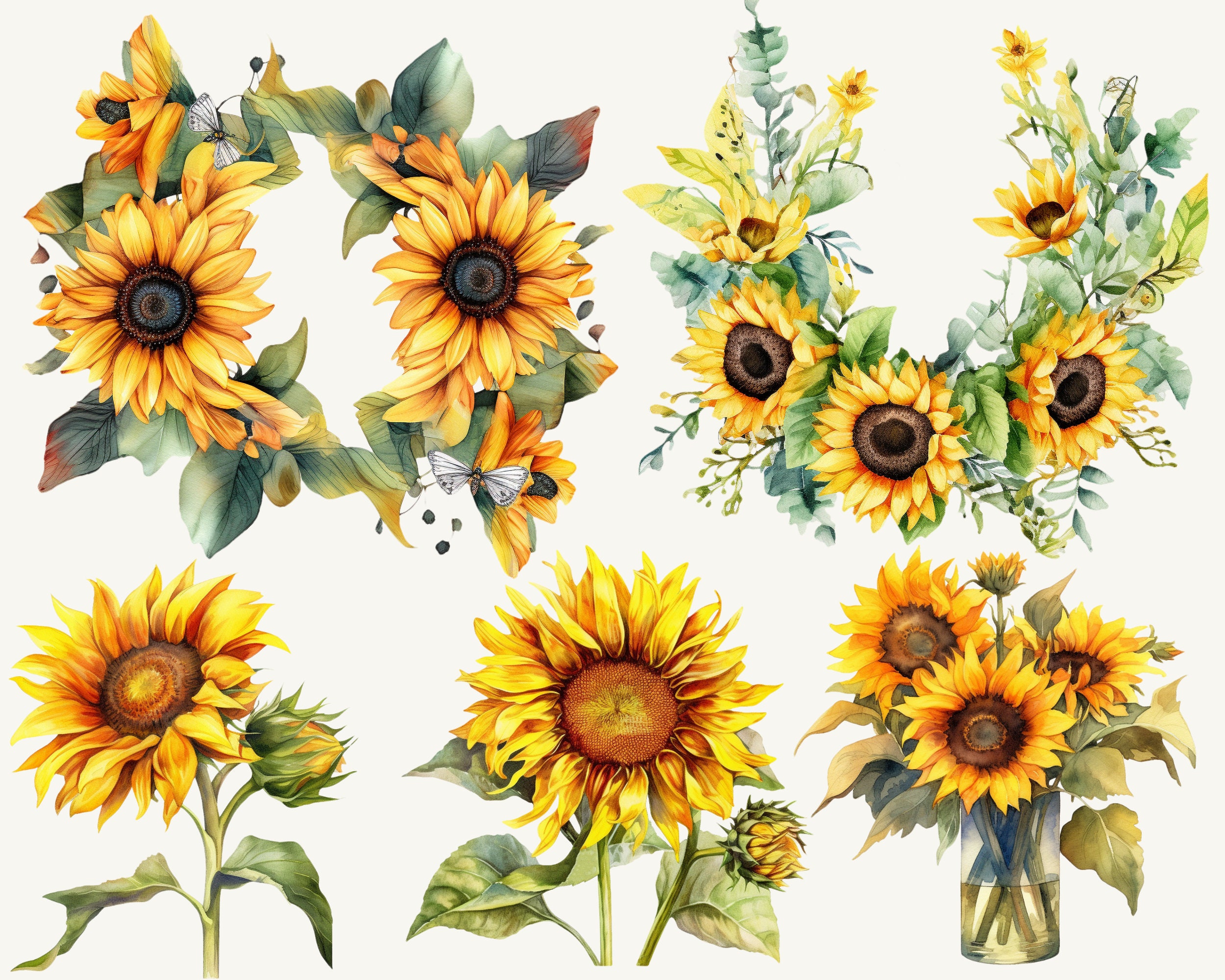 Sunflower Watercolor Clipart Bundle 20 Pngs Transparent - Etsy