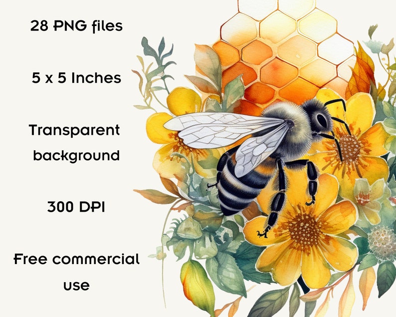 Honey Bee Watercolor Clipart Bundle, 12 Pngs, Transparent Background ...