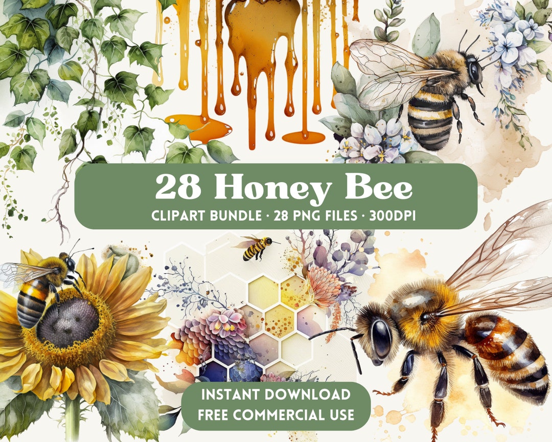 Honey Bee Watercolor Clipart Bundle, 12 Pngs, Transparent Background ...
