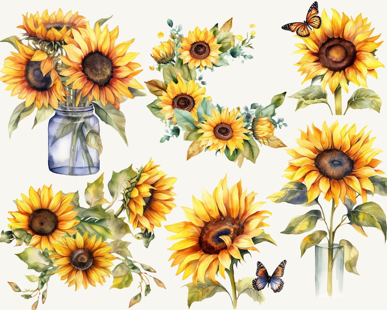 Sunflower Watercolor Clipart Bundle 20 Pngs Transparent - Etsy