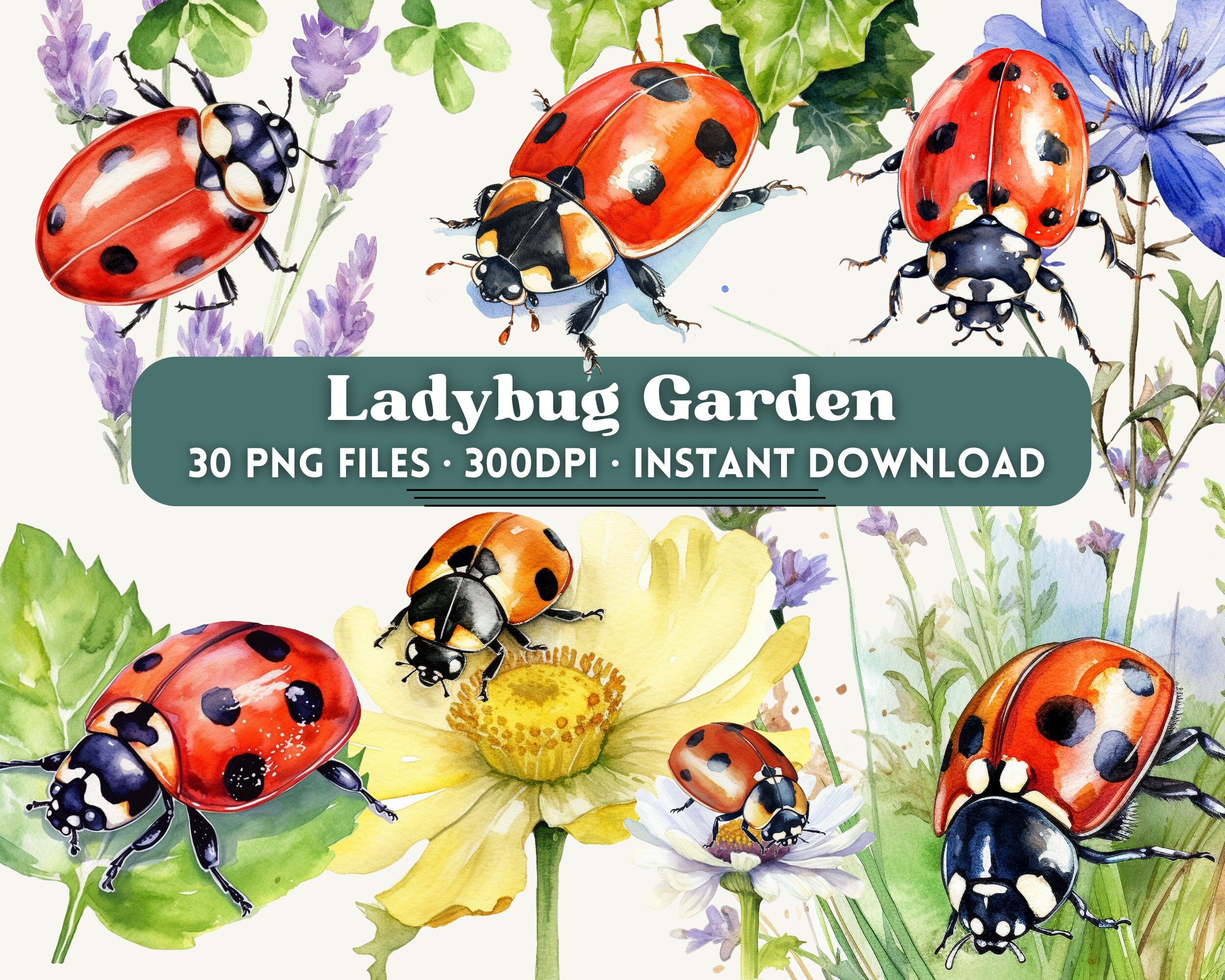 Ladybug Garden Watercolor Clipart Bundle, 30 Pngs, Lady Bug and Flowers ...