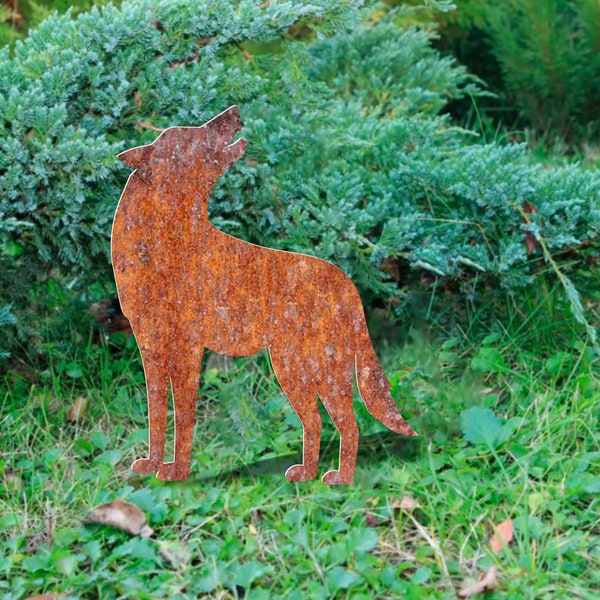 Coyote Metal Sign - Etsy