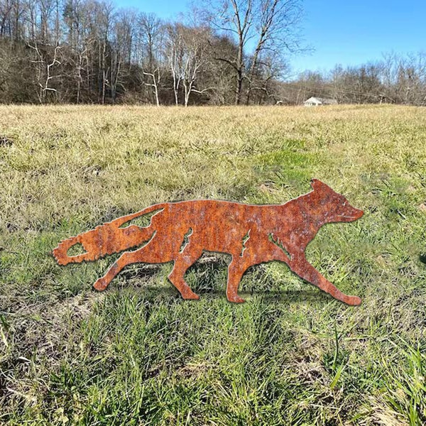 Metal Signs Coyotes - Etsy