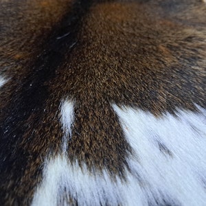 Turkish Goat Skin, Mottled Leather, Genuine Pelt, Home Decor, Home Gift ...