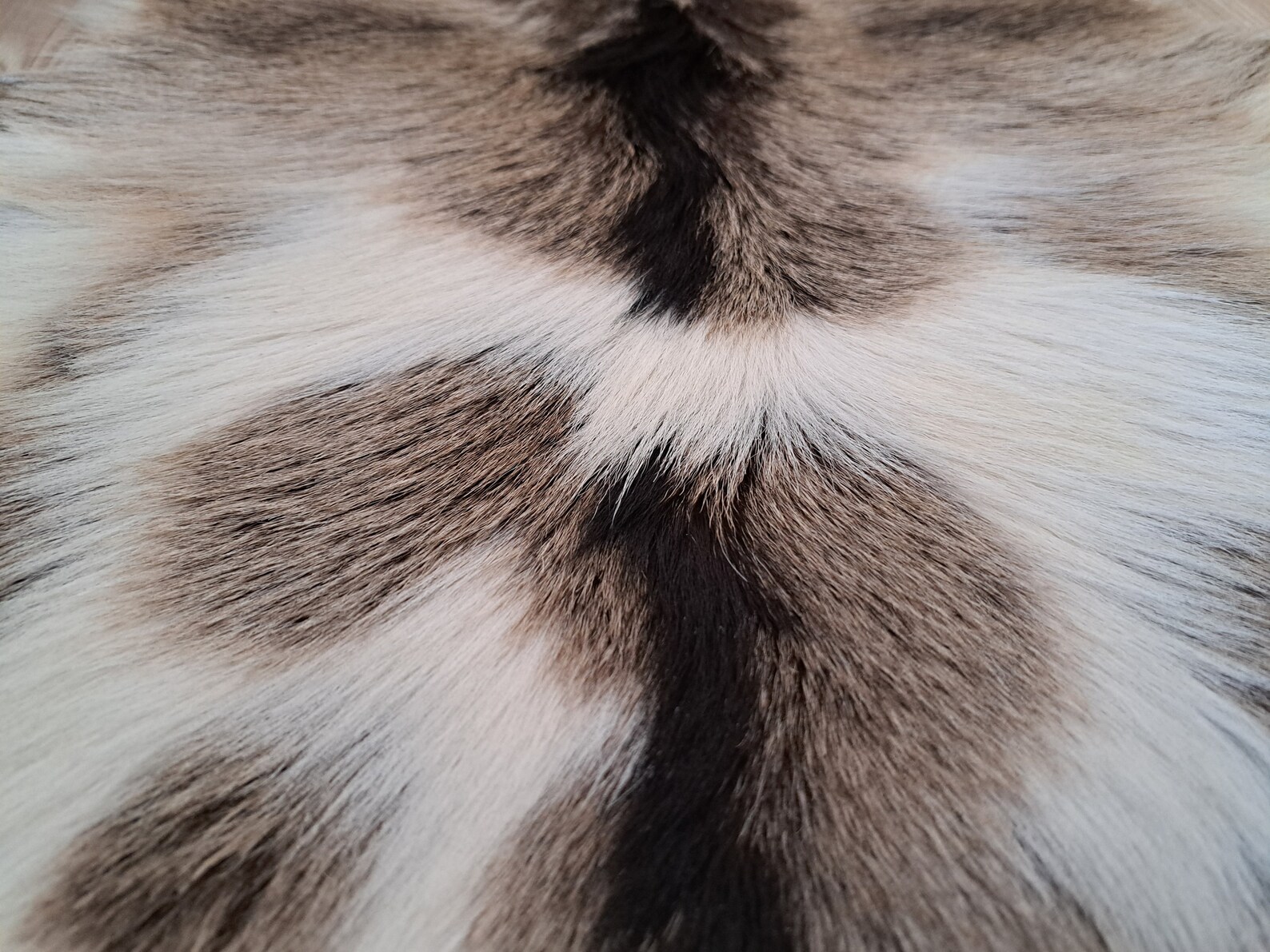 Turkish Goat Hide, Small Sheep Leather, Mottled Leather, Small Goat ...