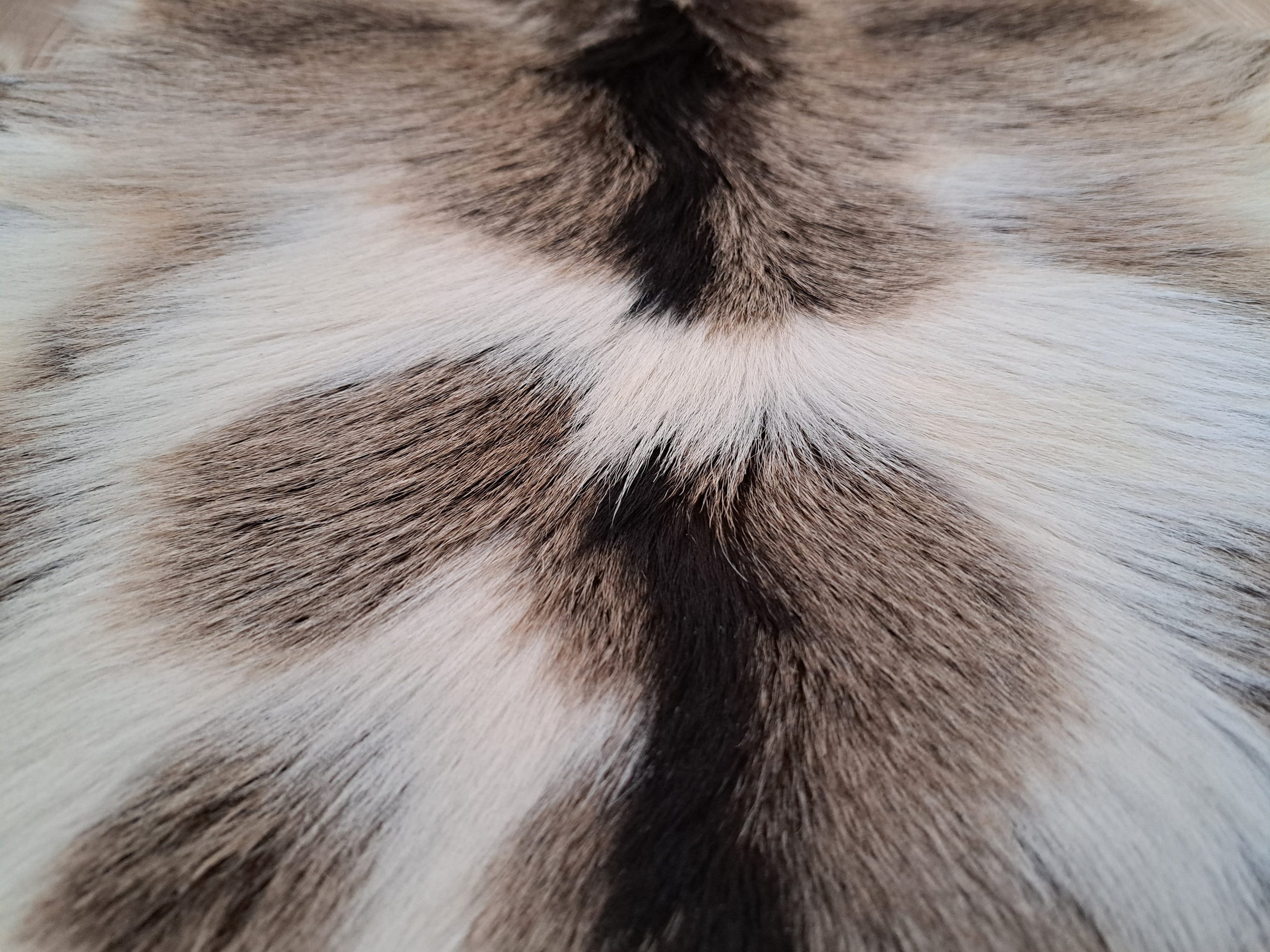 Turkish Goat Hide, Small Sheep Leather, Mottled Leather, Small Goat ...